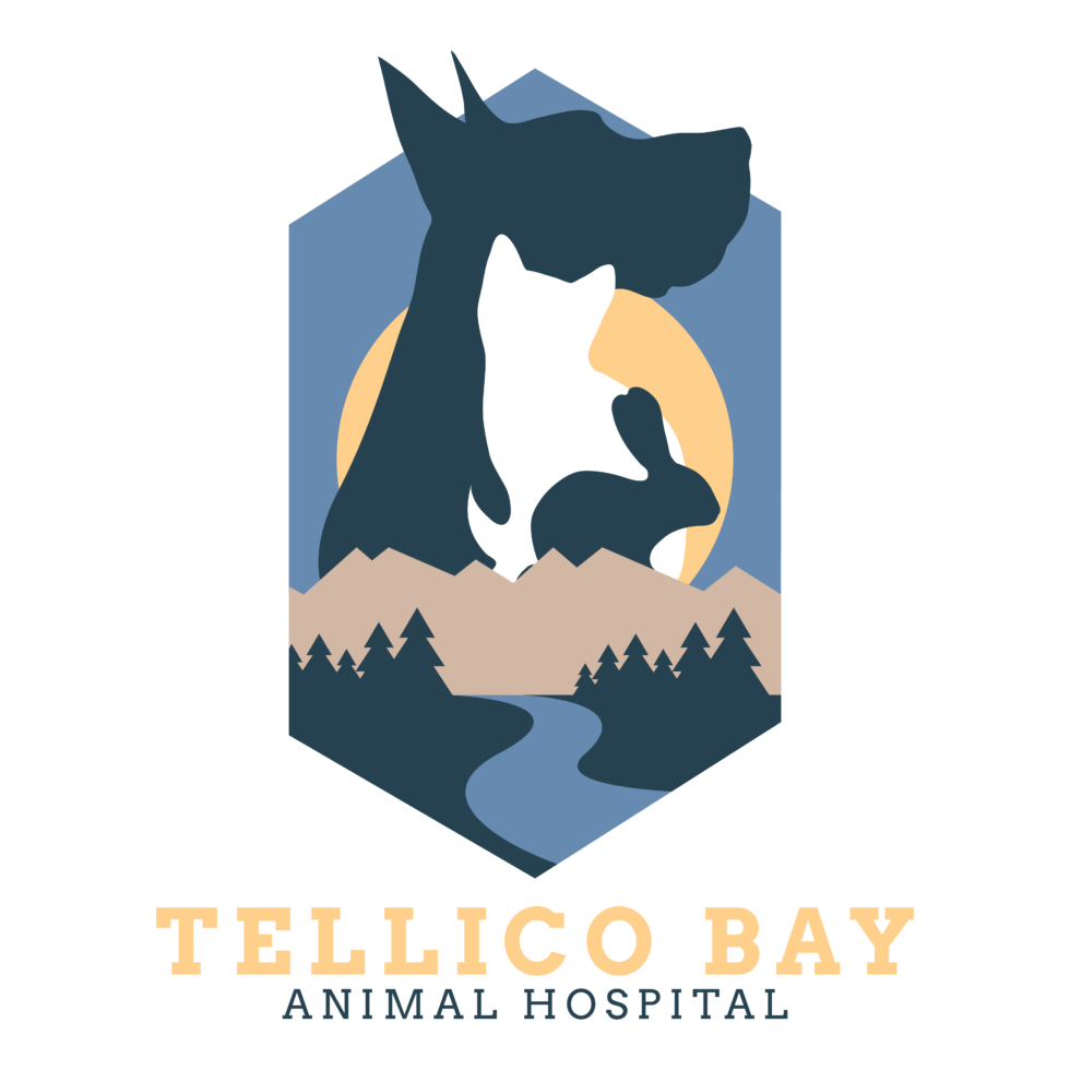 Best Vet In Vonore, TN 37885 | Tellico Bay Animal Hospital