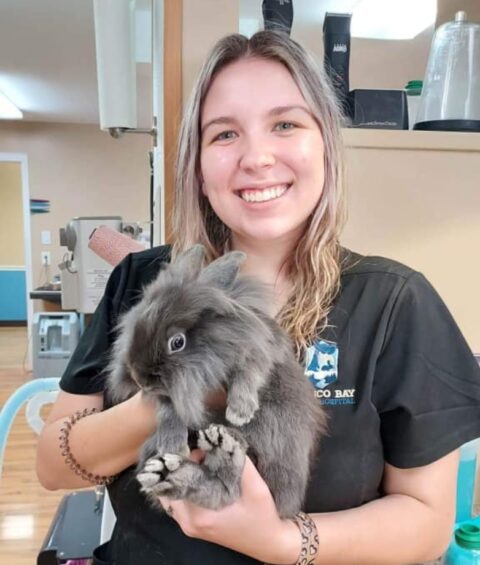 Best Vet In Vonore, TN 37885 | Tellico Bay Animal Hospital