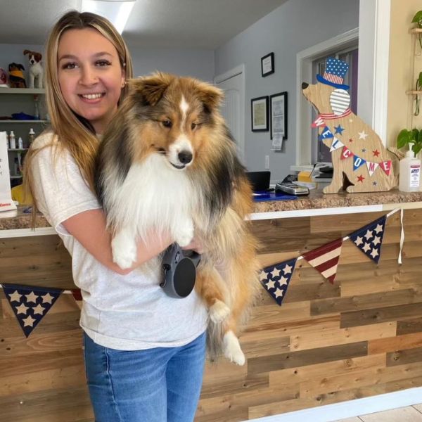 Vonore, TN Veterinary Jobs | Tellico Bay Animal Hospital