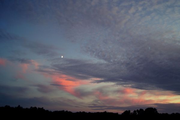 Vonore, TN Veterinary Jobs | Tellico Bay Animal Hospital