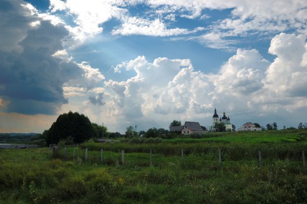 Vonore, TN Veterinary Jobs | Tellico Bay Animal Hospital